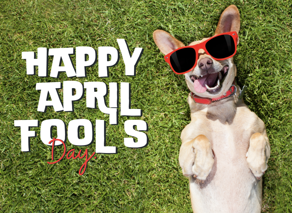 Virtual Reality Homes - MAMA Advertising